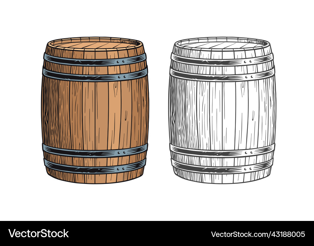 Beer or wine barrels isolated on white background Vector Image