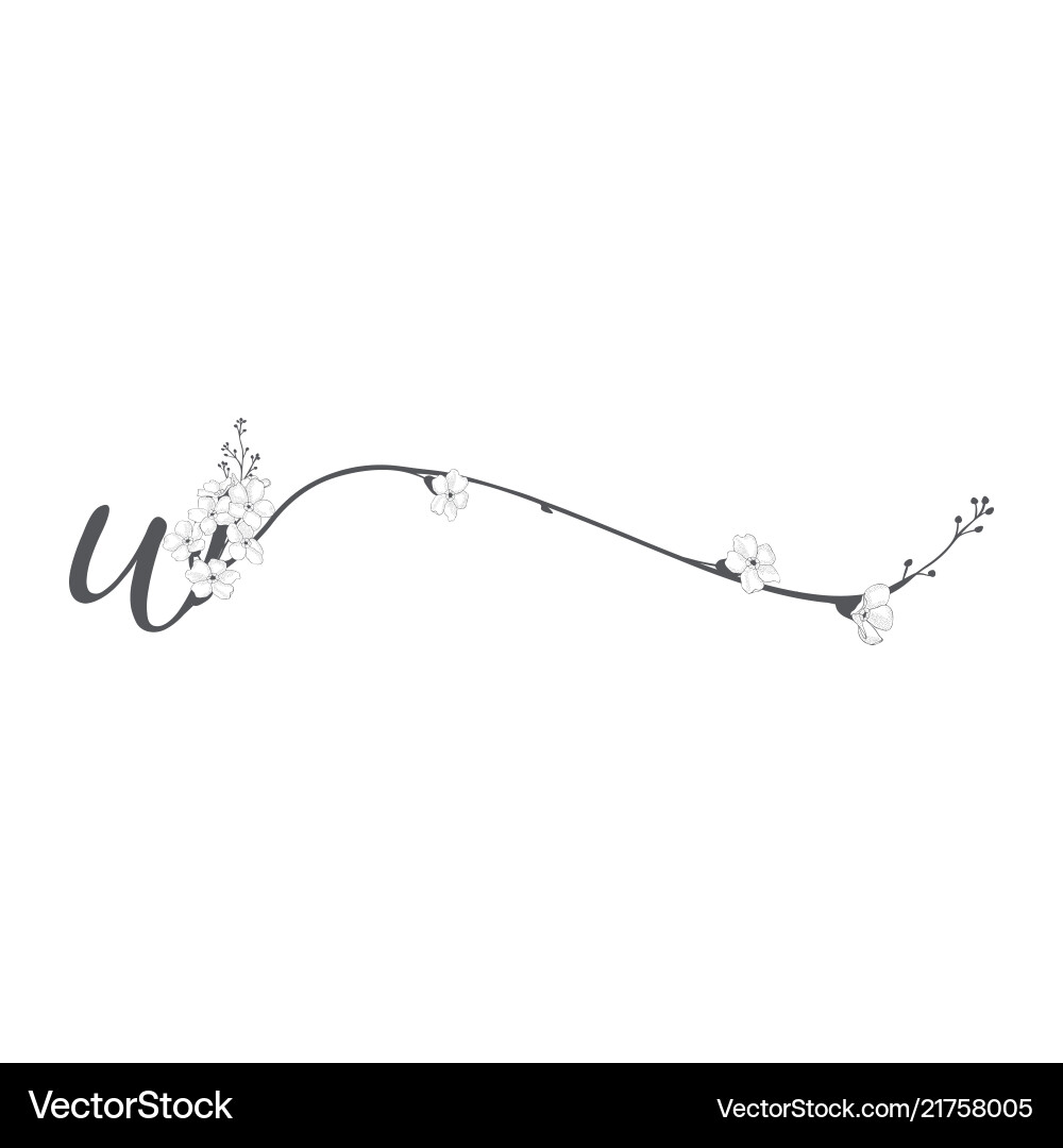 Hand drawn floral w monogram and logo Royalty Free Vector