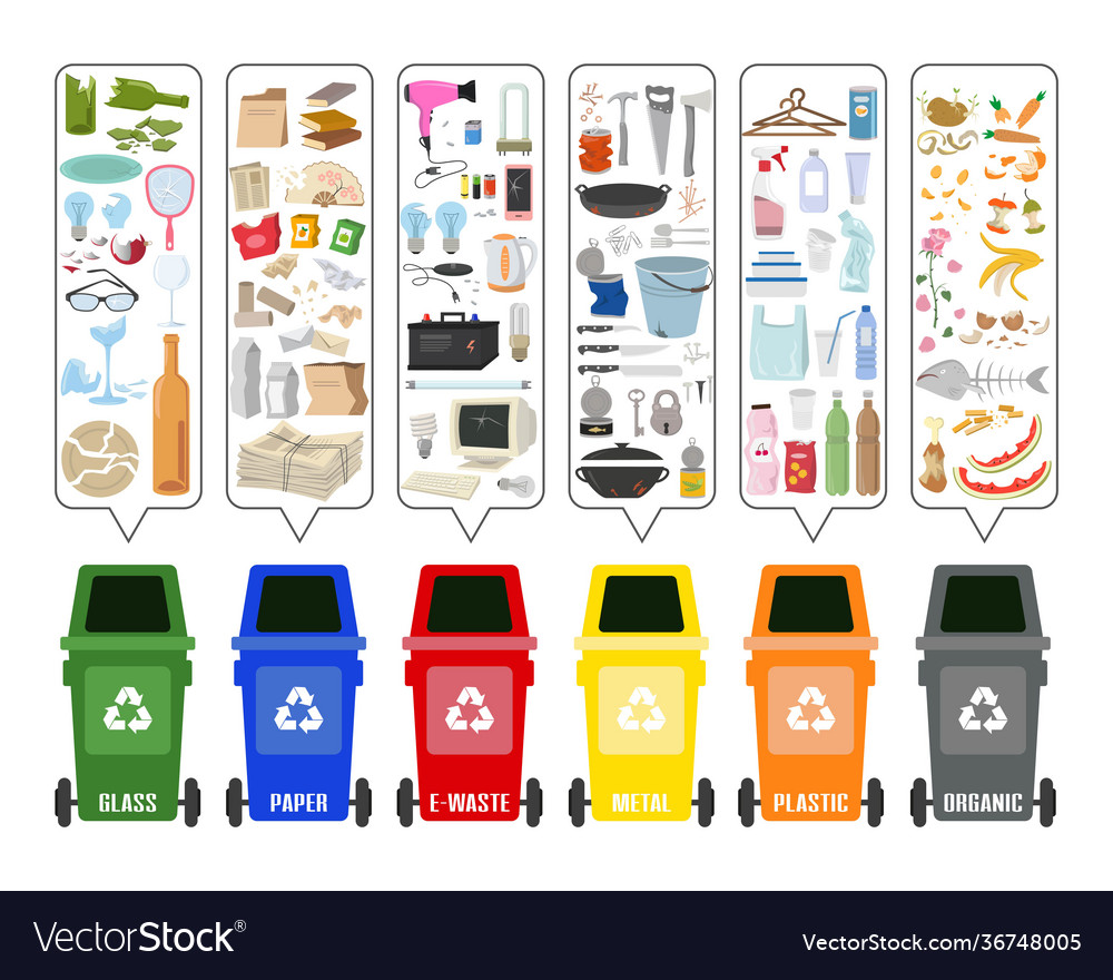 Set colorful garbage cans with sorted garbage Vector Image