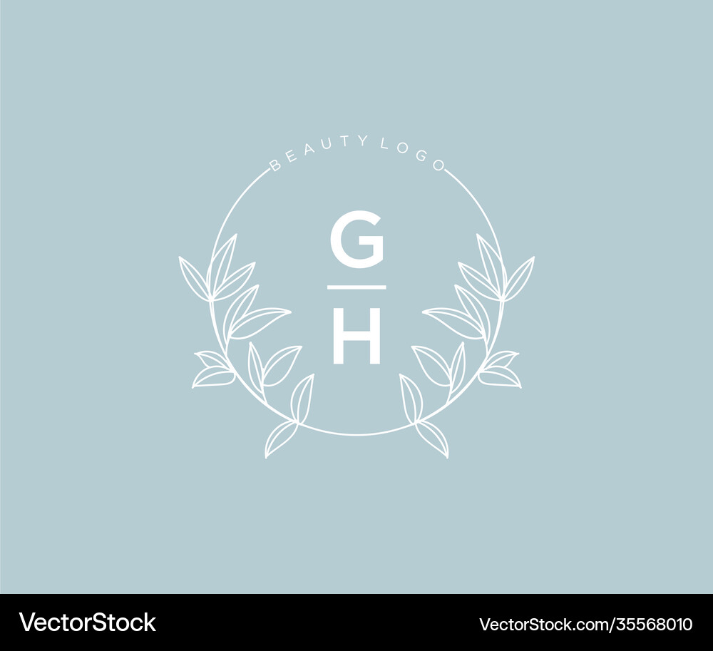 Initial gh letters beautiful floral feminine Vector Image