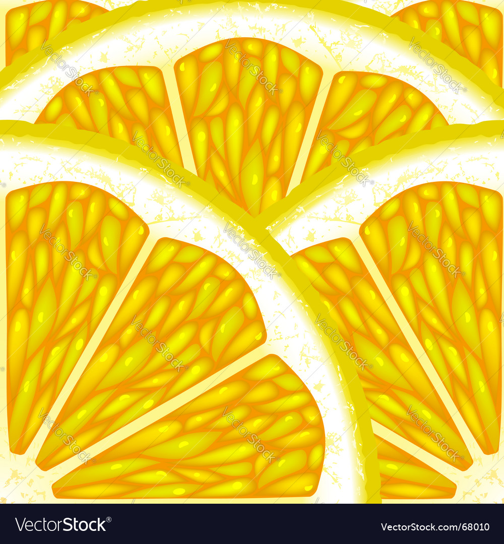 Lemon slice Royalty Free Vector Image - VectorStock