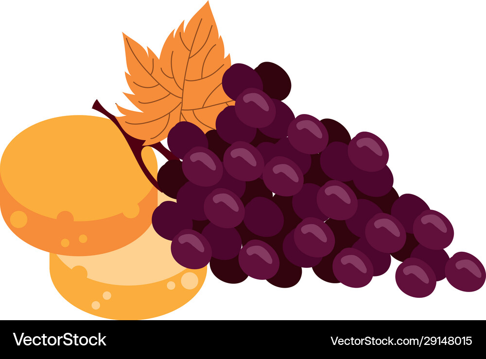 Grapes fresh fruits and breads Royalty Free Vector Image