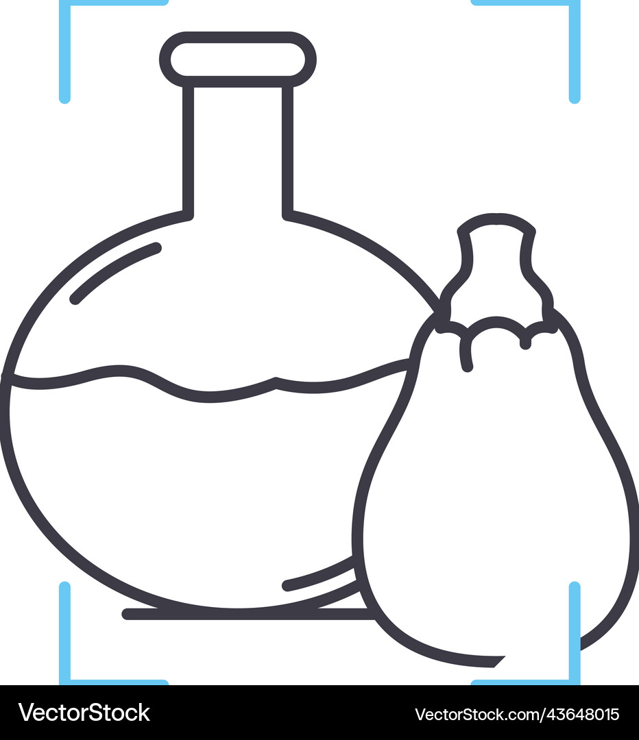 Object photography line icon outline symbol Vector Image