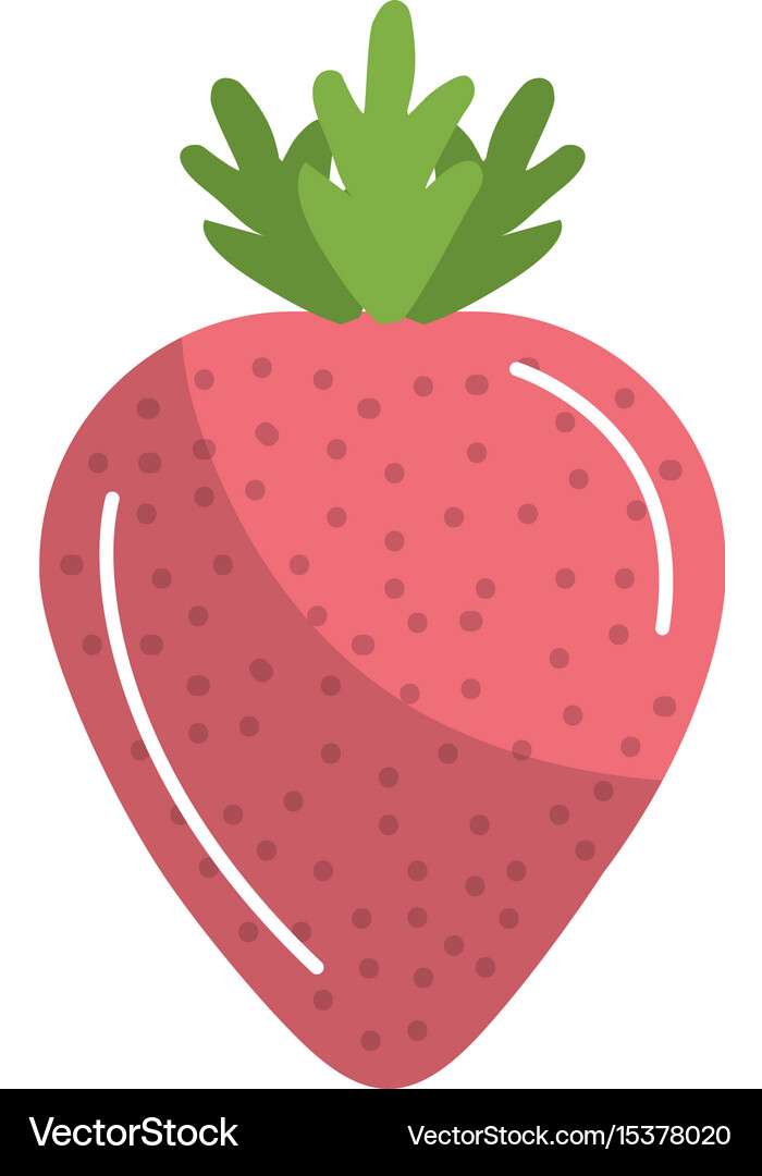 Delicious and healthy strawberry fruit Royalty Free Vector