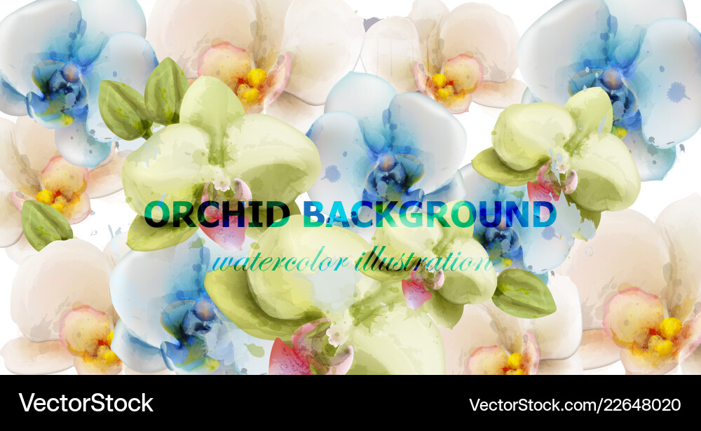 Orchid flowers watercolor background Royalty Free Vector