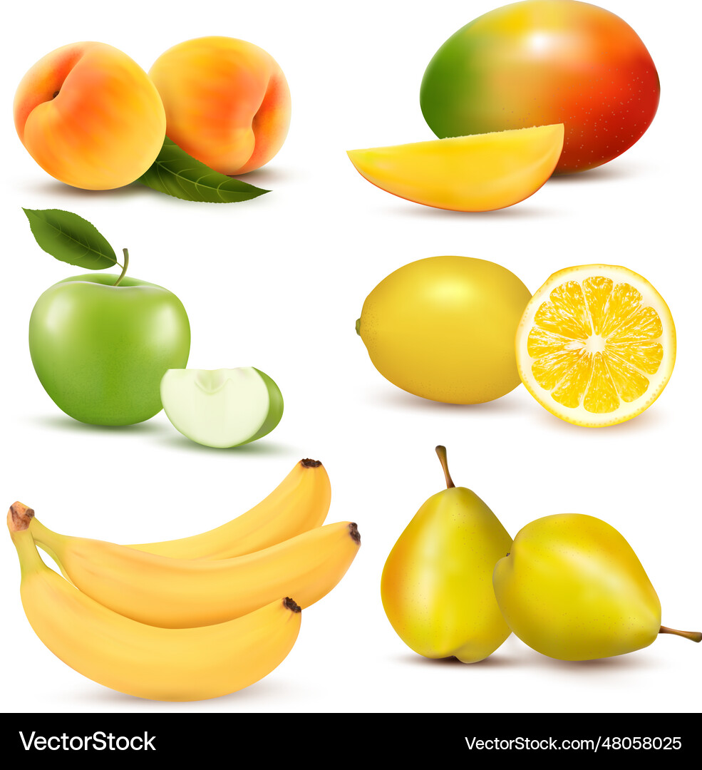 Big set of fresh fruit Royalty Free Vector Image