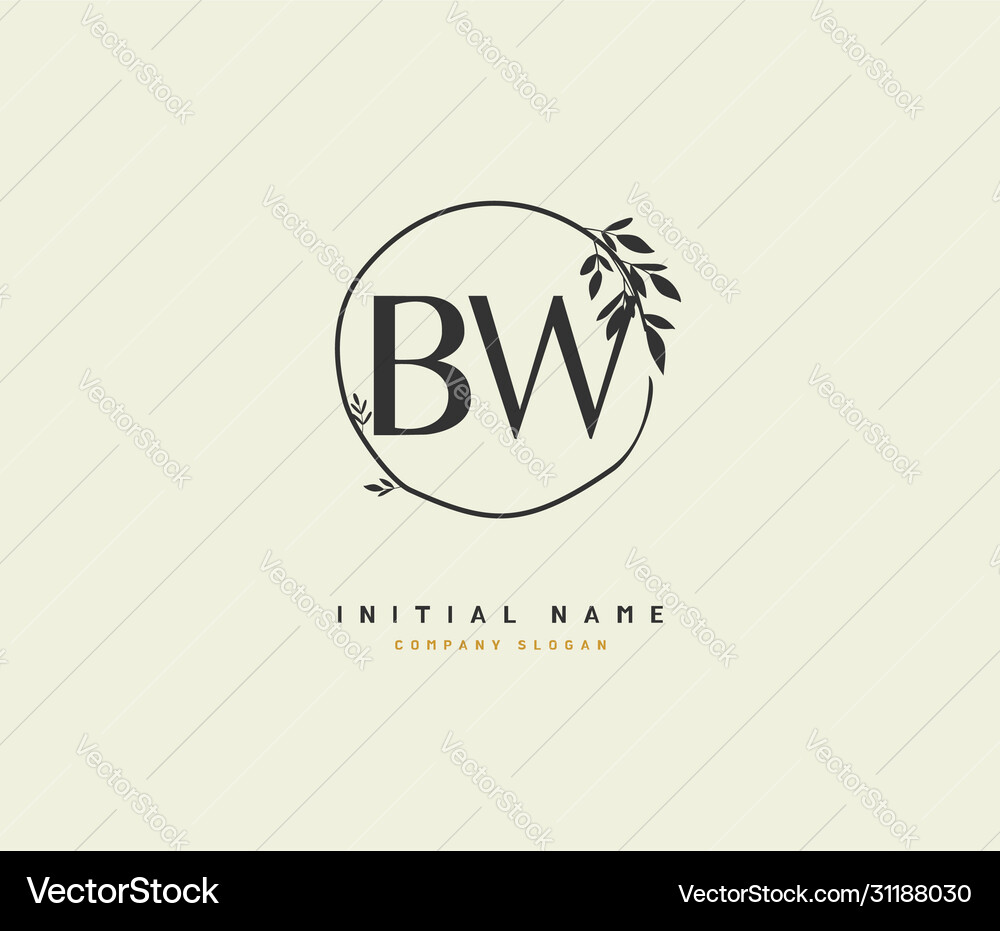 B w bw beauty initial logo handwriting Royalty Free Vector