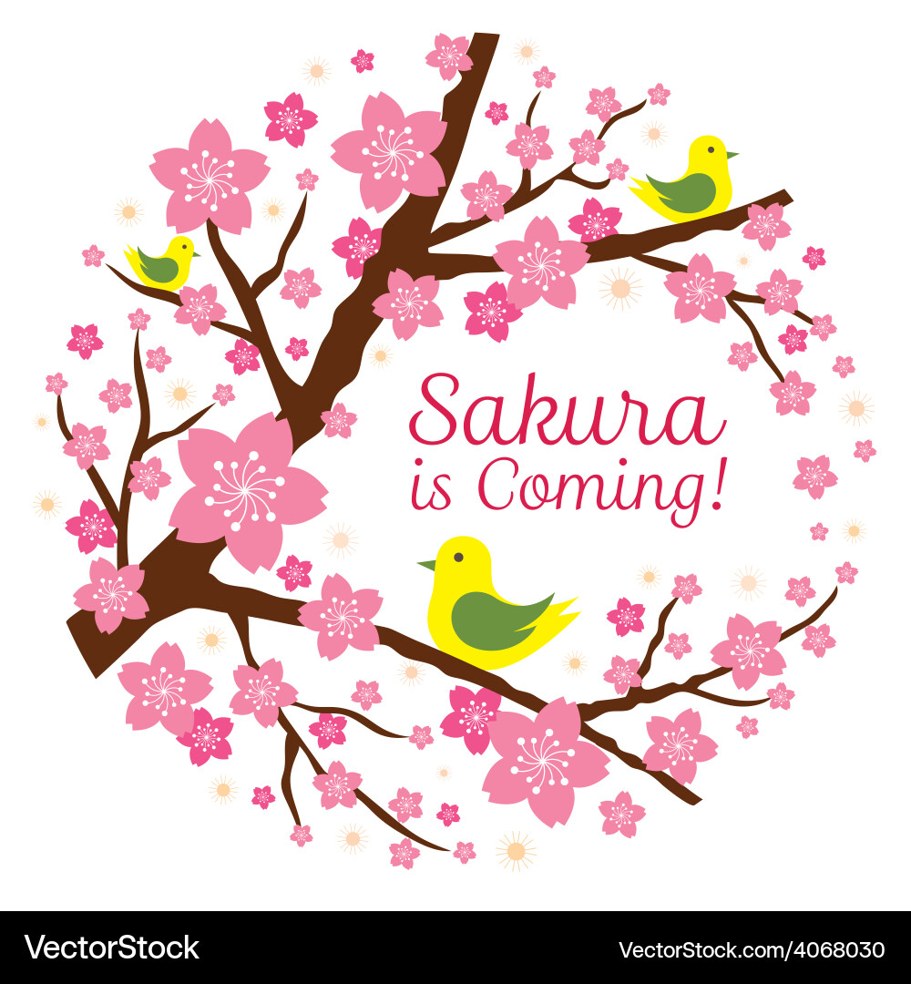 Cherry blossoms or sakura flowers with bird Vector Image