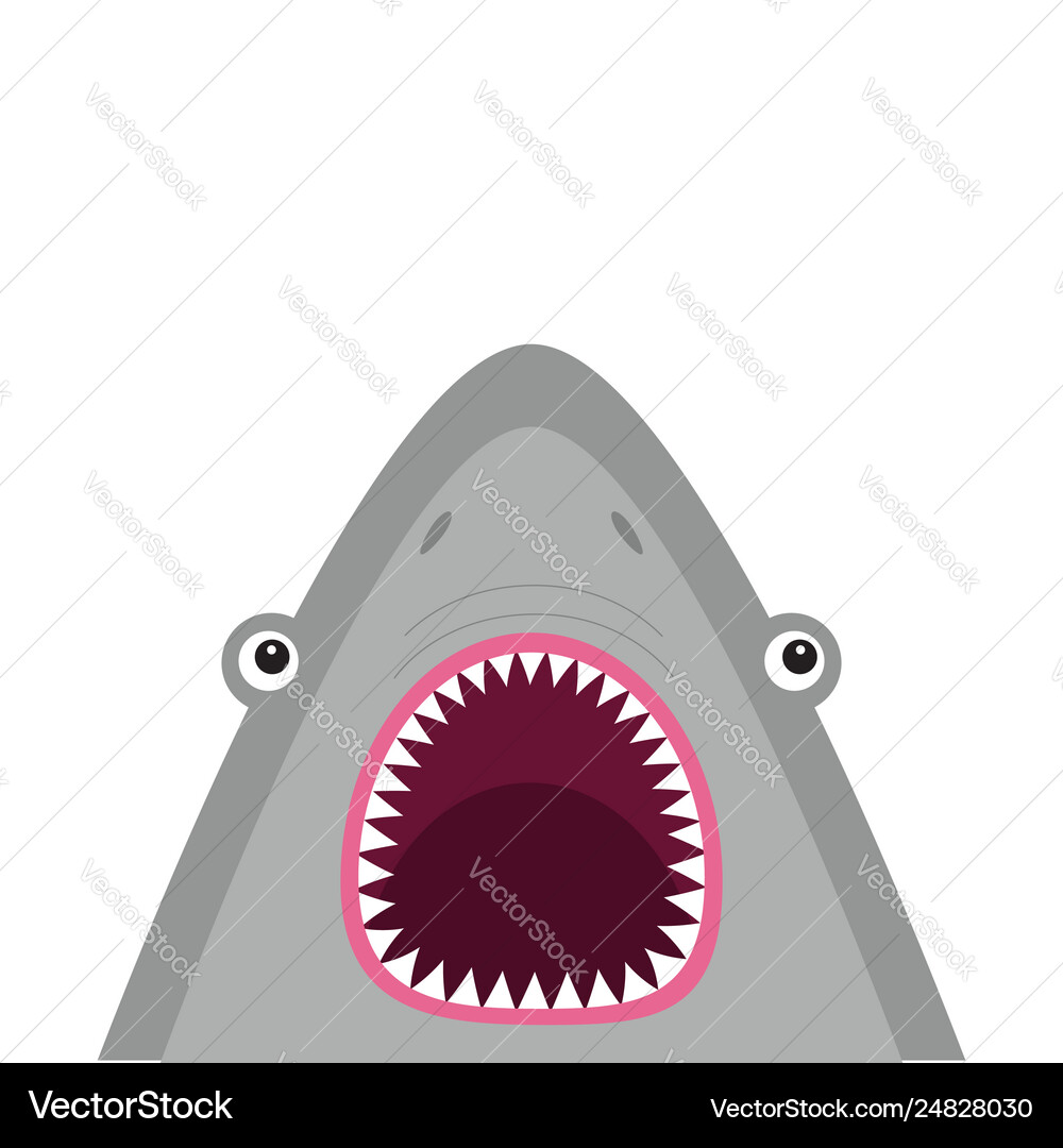 Shark head face with big open mouth and sharp Vector Image
