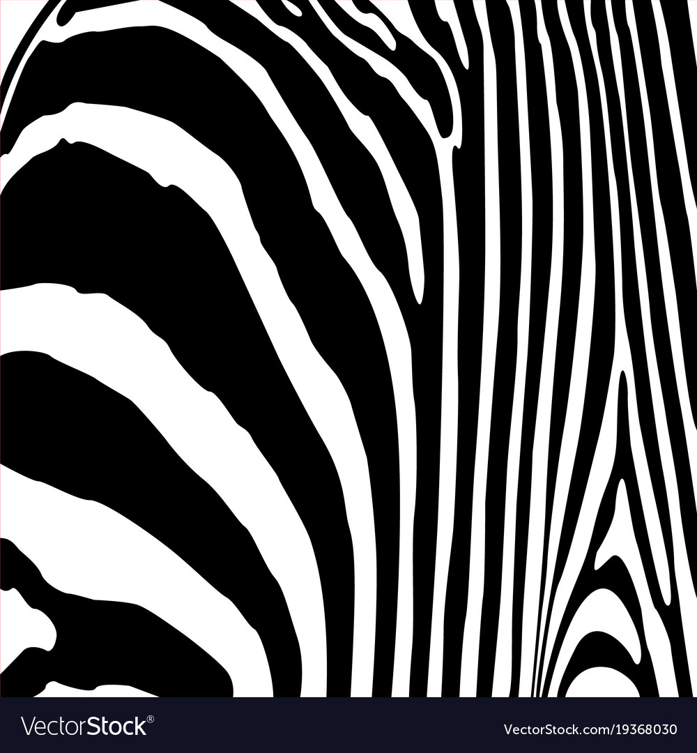 Zebra pattern Royalty Free Vector Image - VectorStock