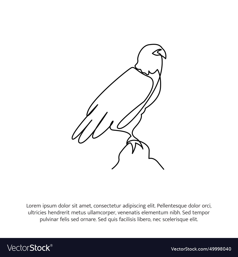 Eagle one continuous line drawing cute decoration Vector Image