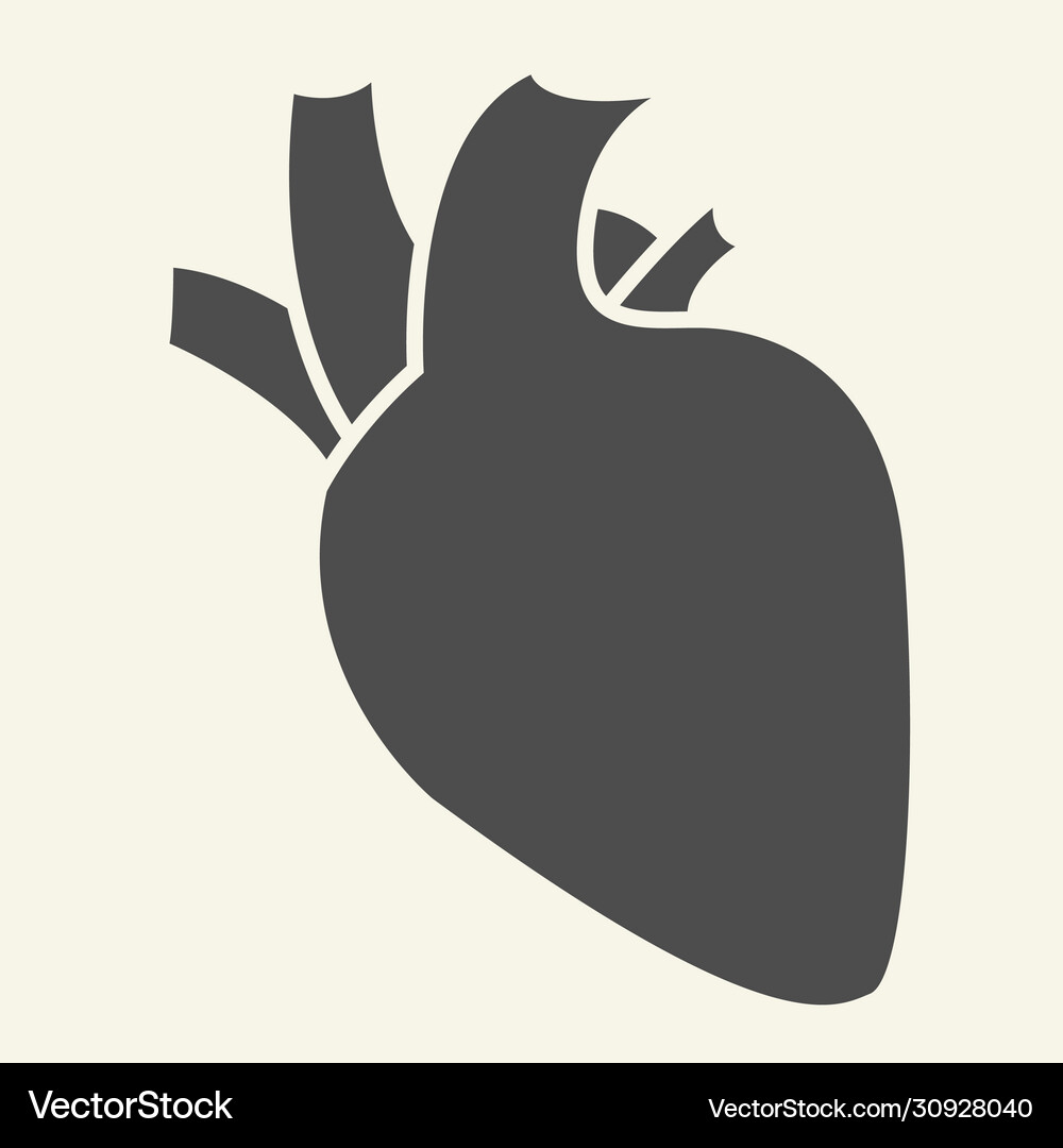 Heart organ solid icon human heart with aorta and Vector Image