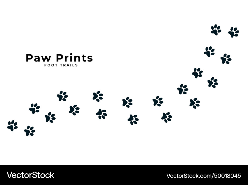 Cute paw print trail white background design Vector Image