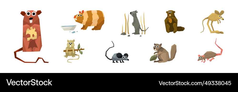 Funny rodent animal with tail and teeth set Vector Image