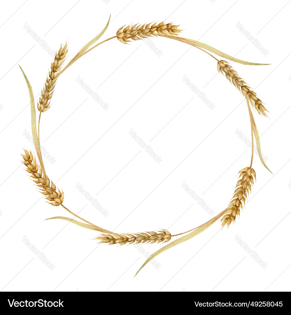 Watercolor wheats wreath hand drawn Royalty Free Vector