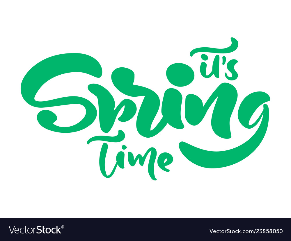 Calligraphy lettering phrase its spring time Vector Image