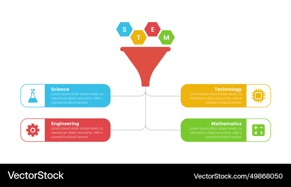 Stem education infographics template diagram Vector Image