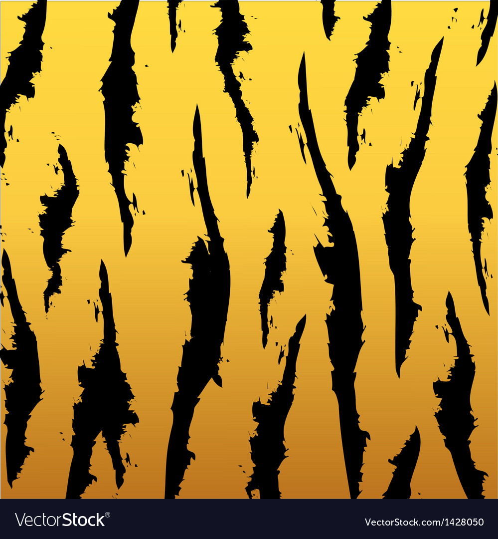Tiger pattern Royalty Free Vector Image - VectorStock