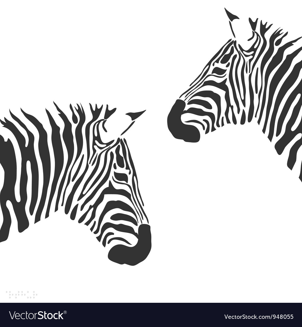 Zebra Royalty Free Vector Image - VectorStock