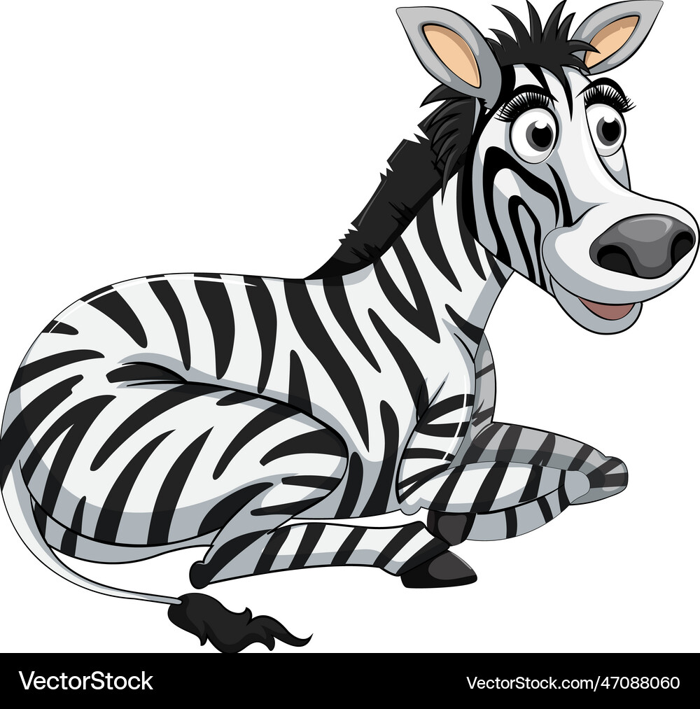 A zebra in lying position cartoon character Vector Image