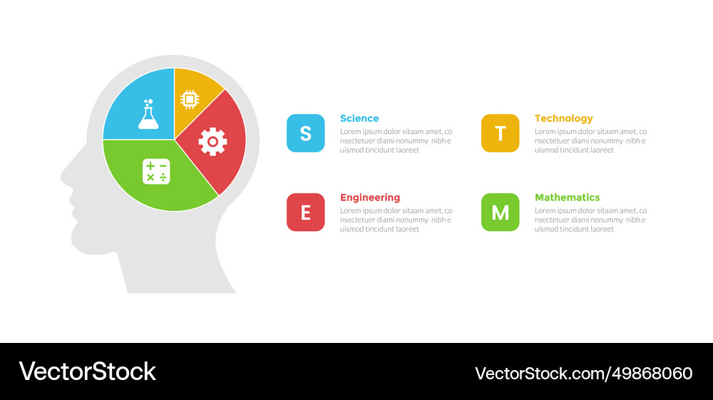 Stem education infographics template diagram Vector Image