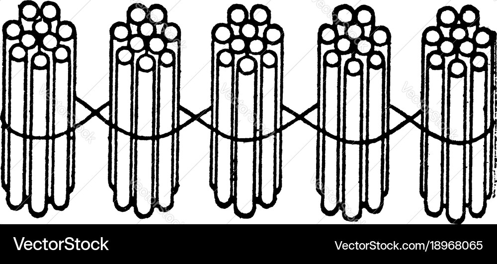 5 bundles ten sticks vintage Royalty Free Vector Image