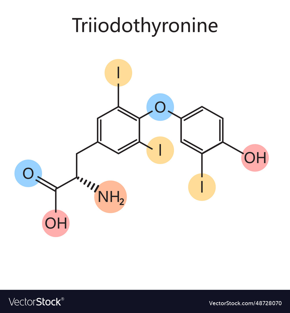 Chemical formula triiodothyronine diagram science Vector Image