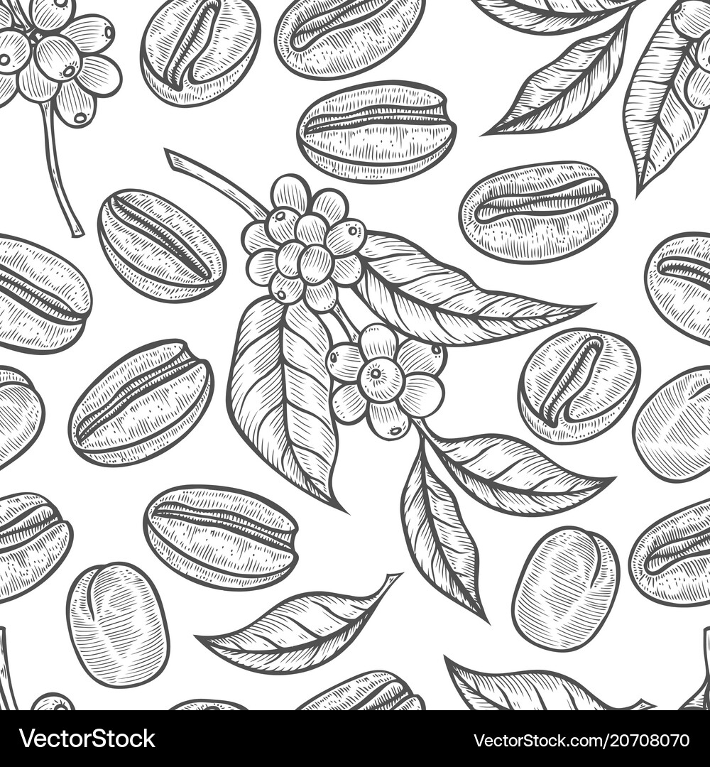 Leaves and fruits coffee Royalty Free Vector Image