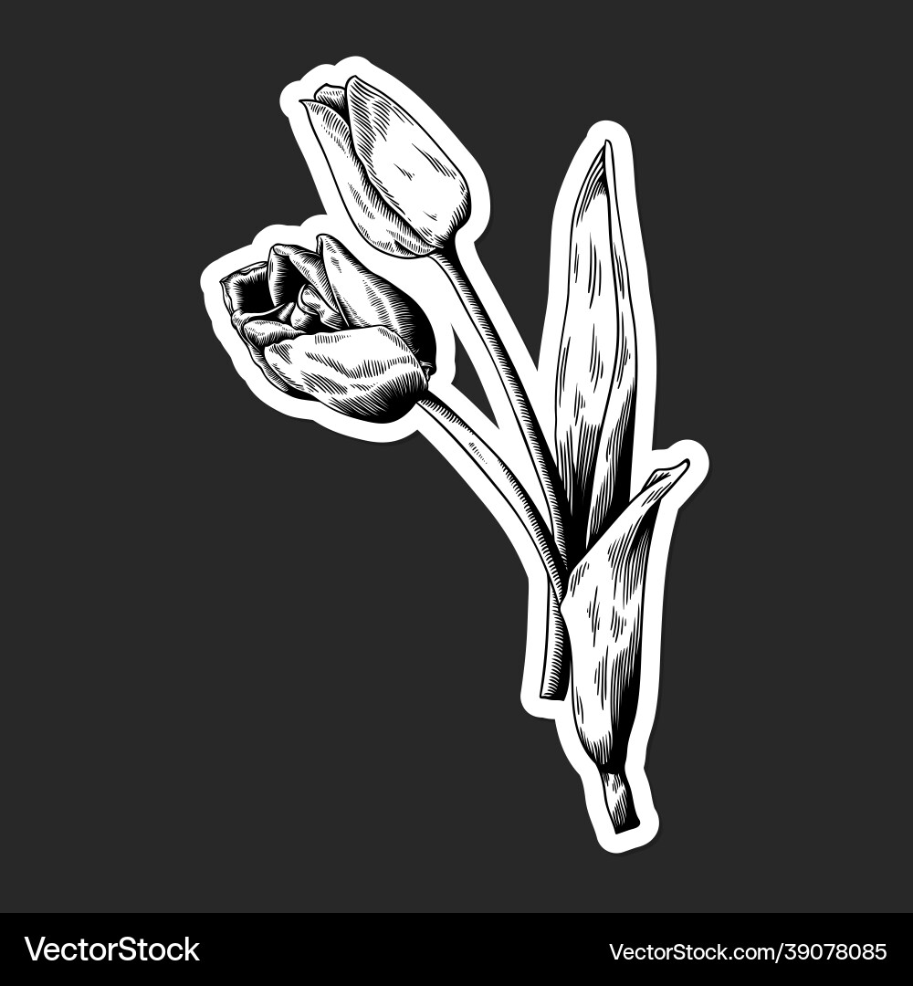 Black and white tulip sticker with a border Vector Image