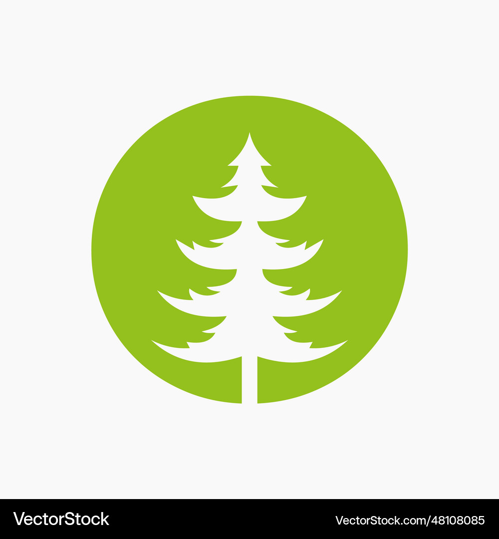 Letter o christmas tree logo design spruce logo Vector Image