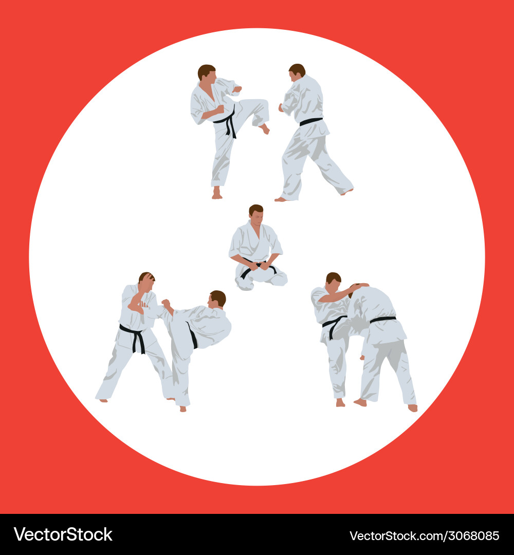 Set of images karate Royalty Free Vector Image