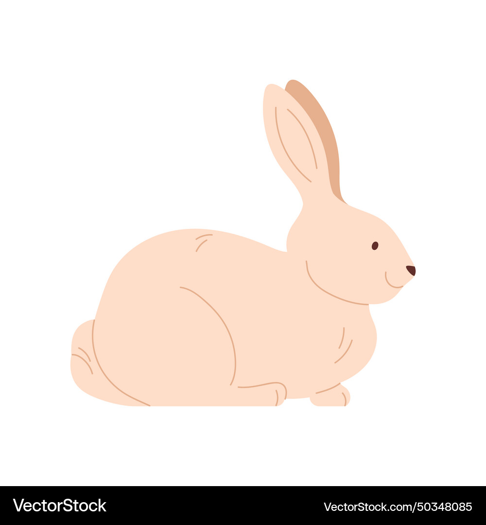 White rabbit sitting funny happy bunny with long Vector Image