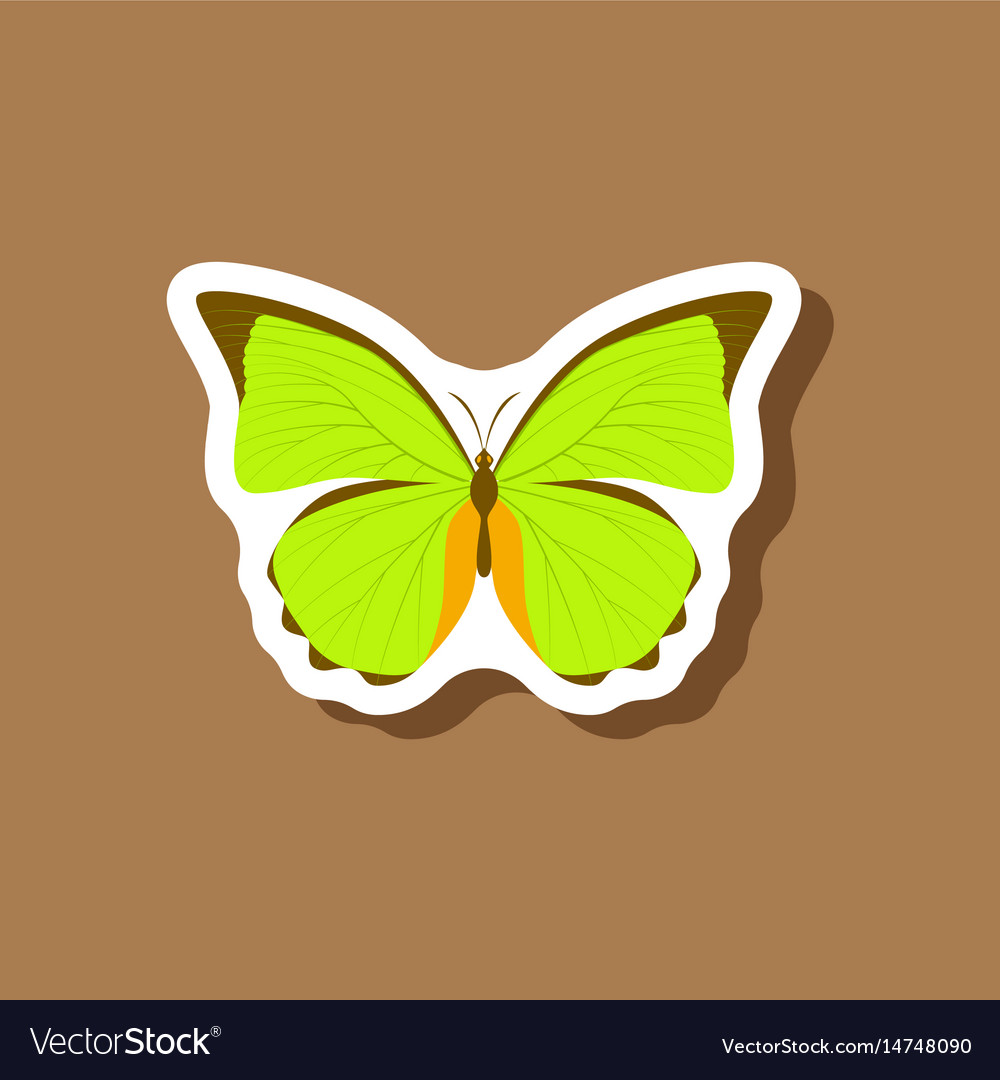 Butterfly Paper Sticker On Stylish Background Vector Image