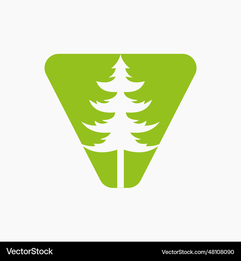 Letter v christmas tree logo design spruce logo Vector Image