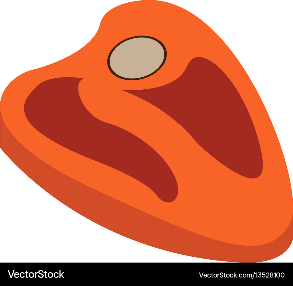 Isolated piece of meat Royalty Free Vector Image