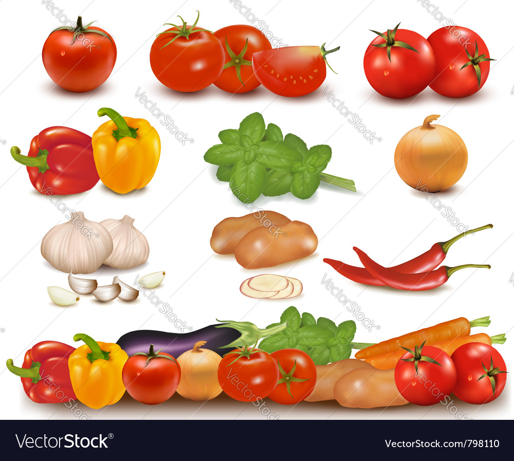 Vegetables collection Royalty Free Vector Image