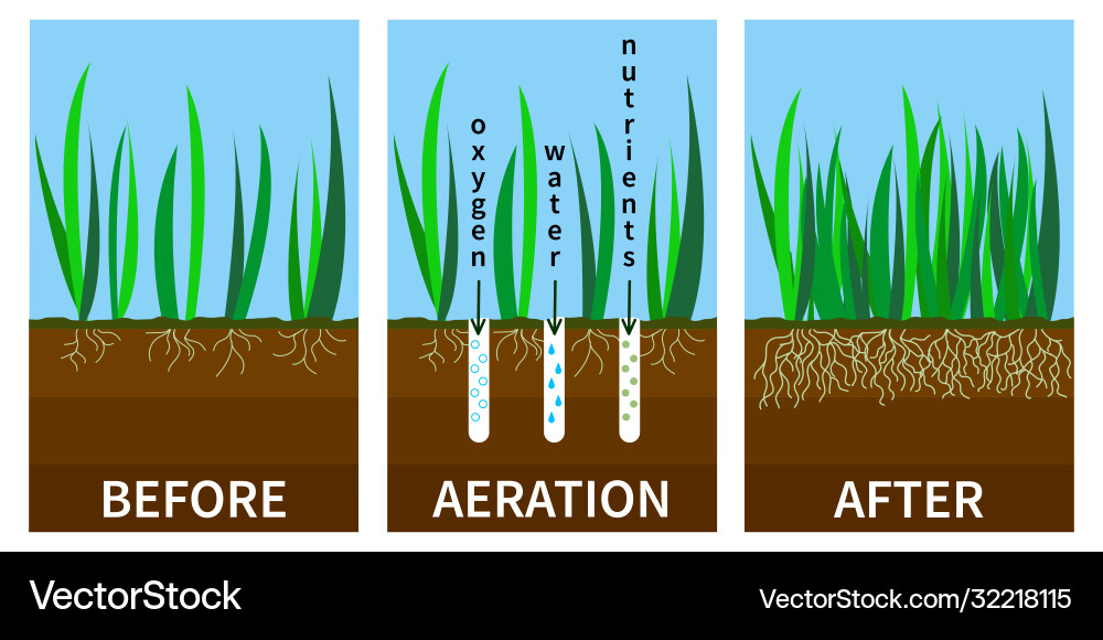 Stages lawn aeration Royalty Free Vector Image