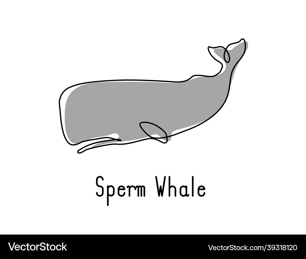 Single continuous line drawing of sperm whale Vector Image