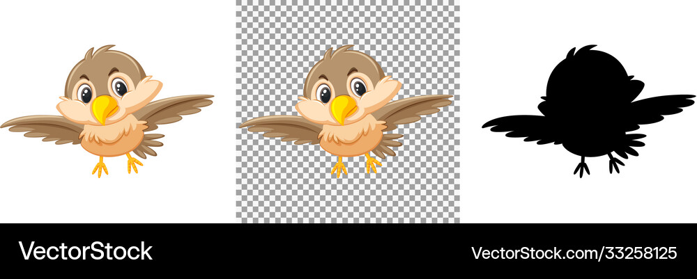 Set bird character Royalty Free Vector Image - VectorStock