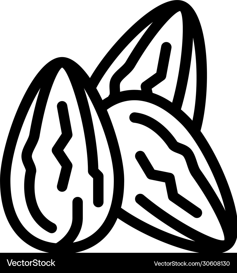 Cocoa beans icon outline Royalty Free Vector Image