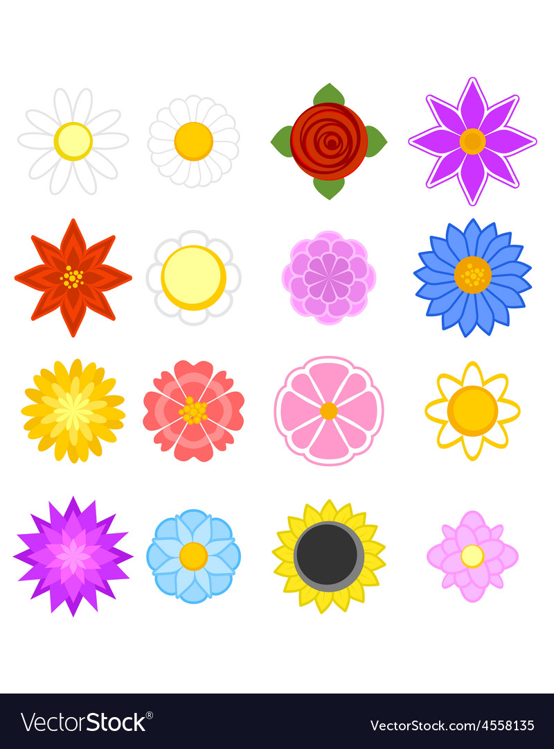 72 Royalty Free Vector Image - VectorStock