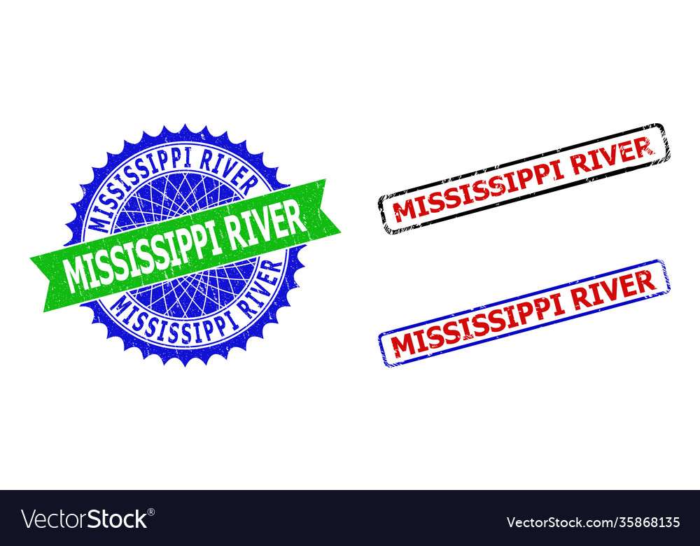 Mississippi river rosette and rectangle bicolor Vector Image
