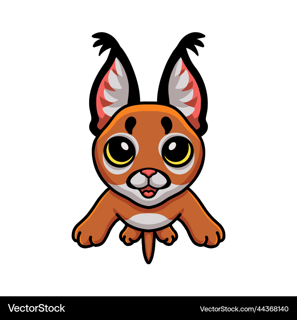 Cute caracal cat cartoon posing Royalty Free Vector Image