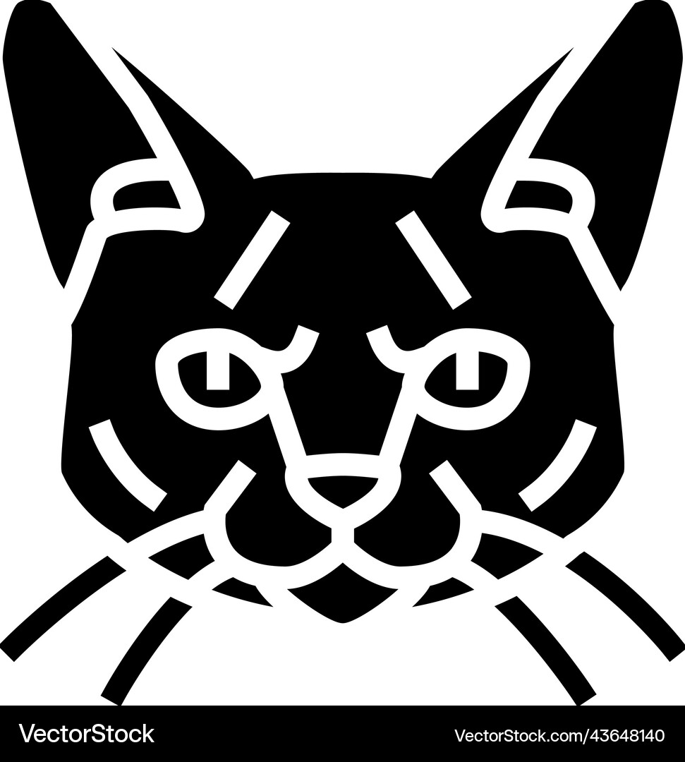 Siamese cat cute pet glyph icon Royalty Free Vector Image