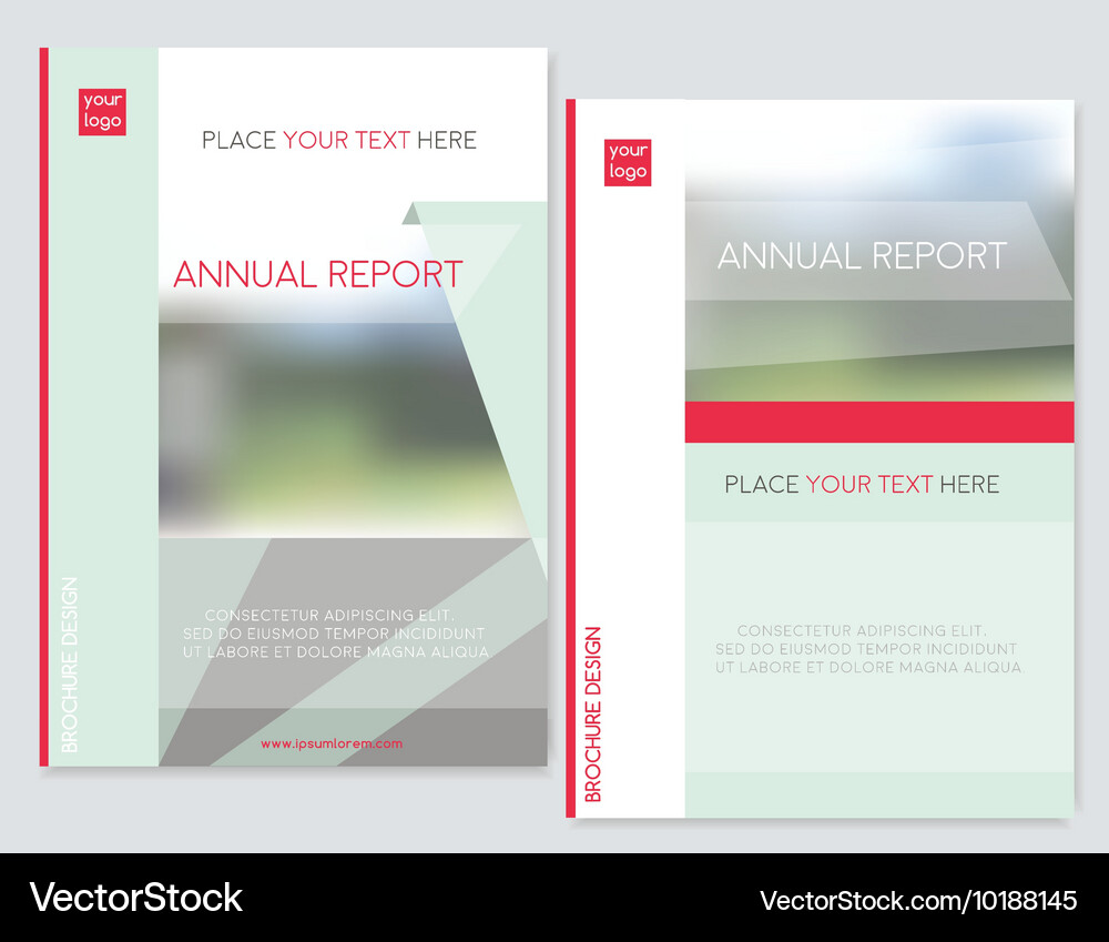 Cover design for brochure leaflet flyer annual Vector Image
