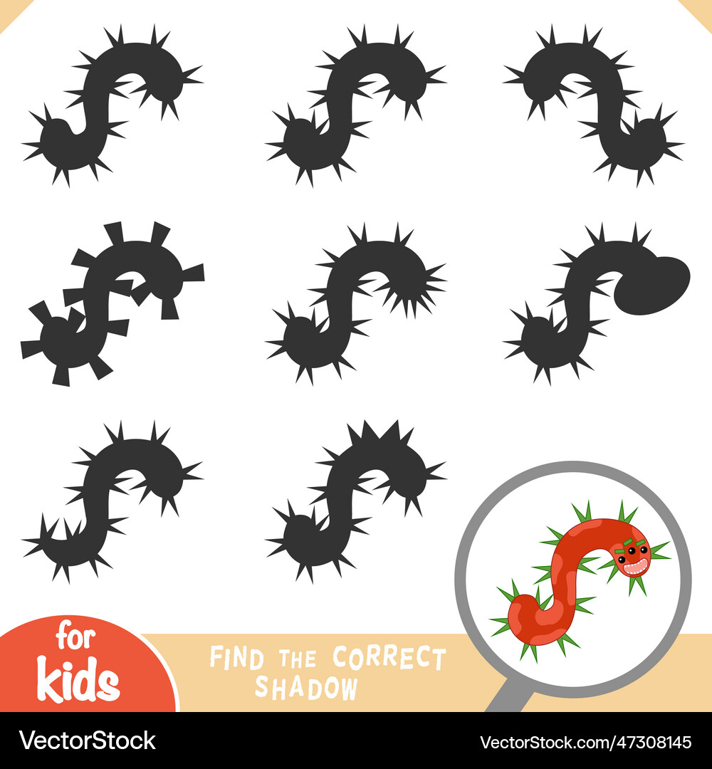 Find the correct shadow game for children cute Vector Image