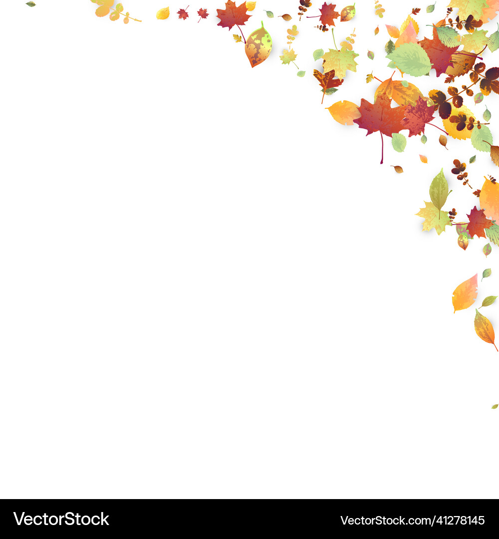 Leaves falling autumn foliage chaotic leaf flying Vector Image