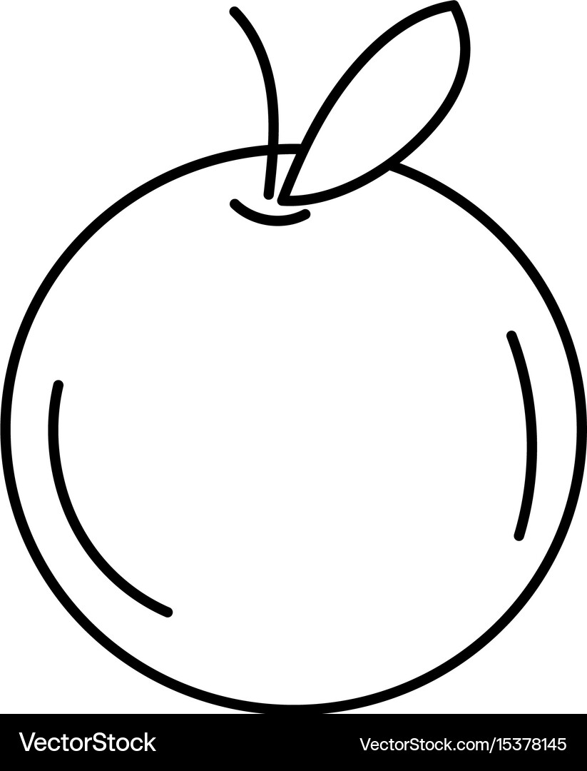 Orange Fruit Line Drawing Orange Fruit Outline Vector Images (over