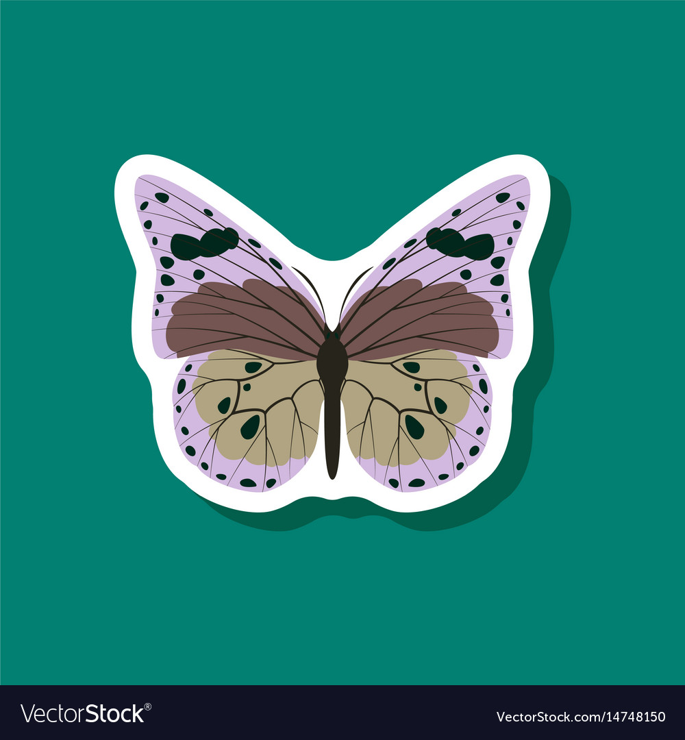 Butterfly Paper Sticker On Stylish Background Vector Image