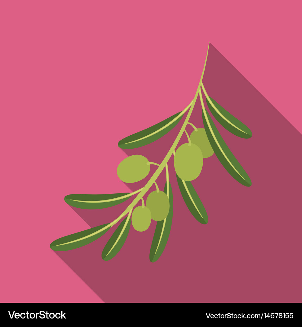Olive brancholives single icon in flat style Vector Image